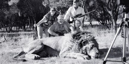 Take Action for Animals | World Animal Protection