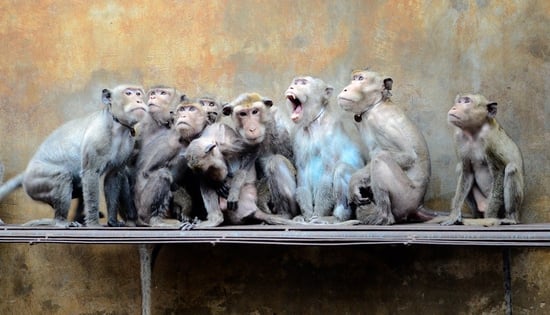 New wildlife farming report reveals more crocodiles on farms than in ...