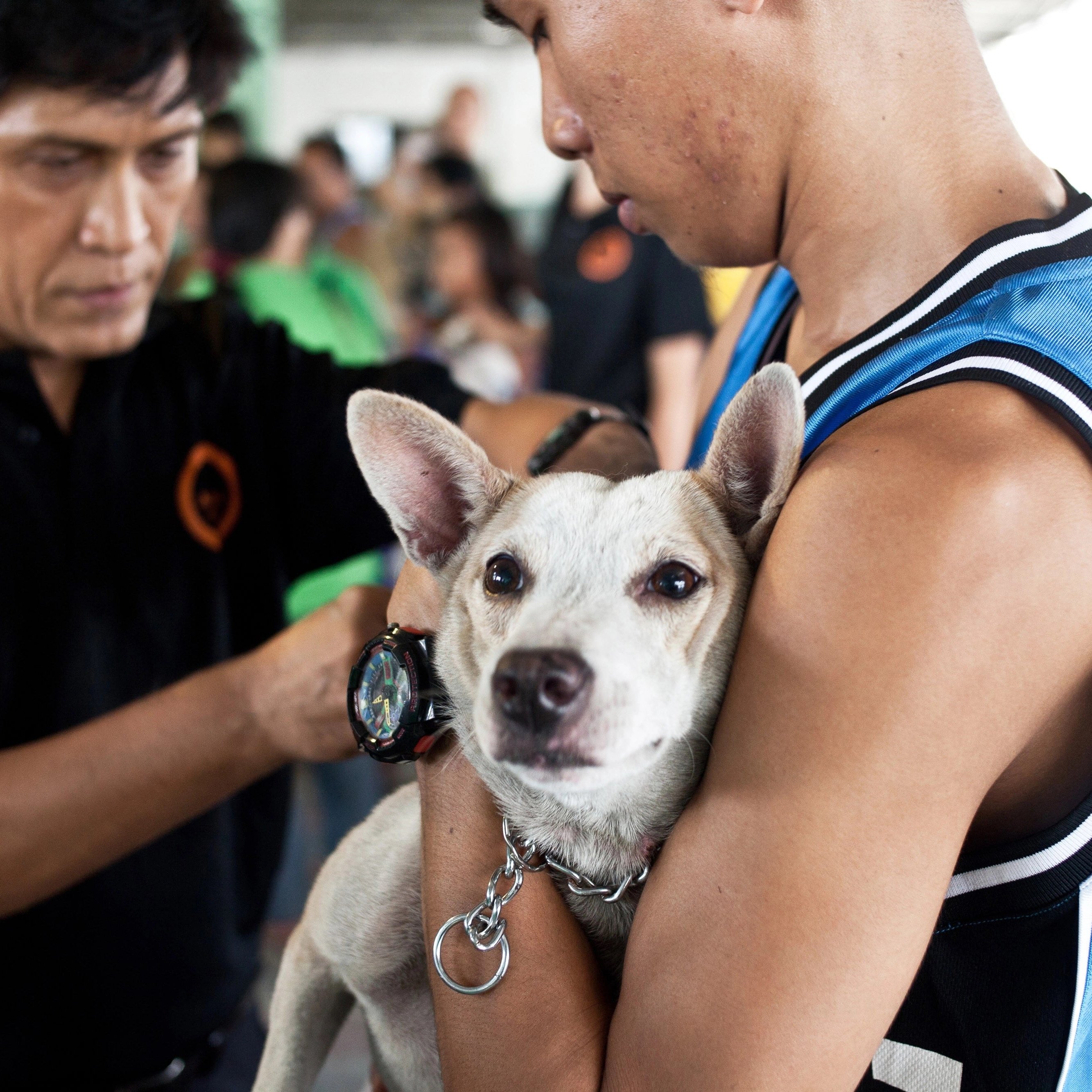 Protecting Animals in Communities | World Animal Protection