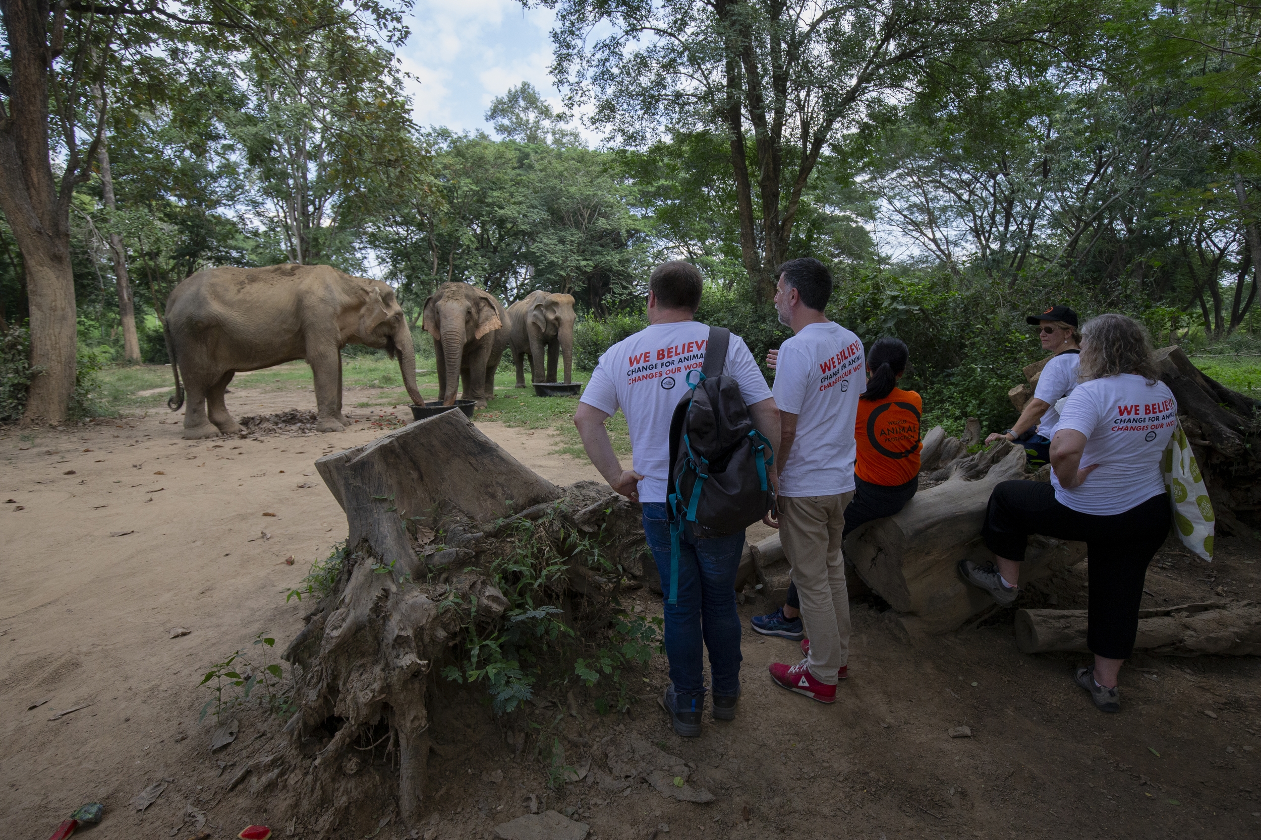 Support Us | World Animal Protection